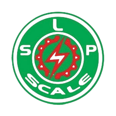 Slp Scale Repair Services
